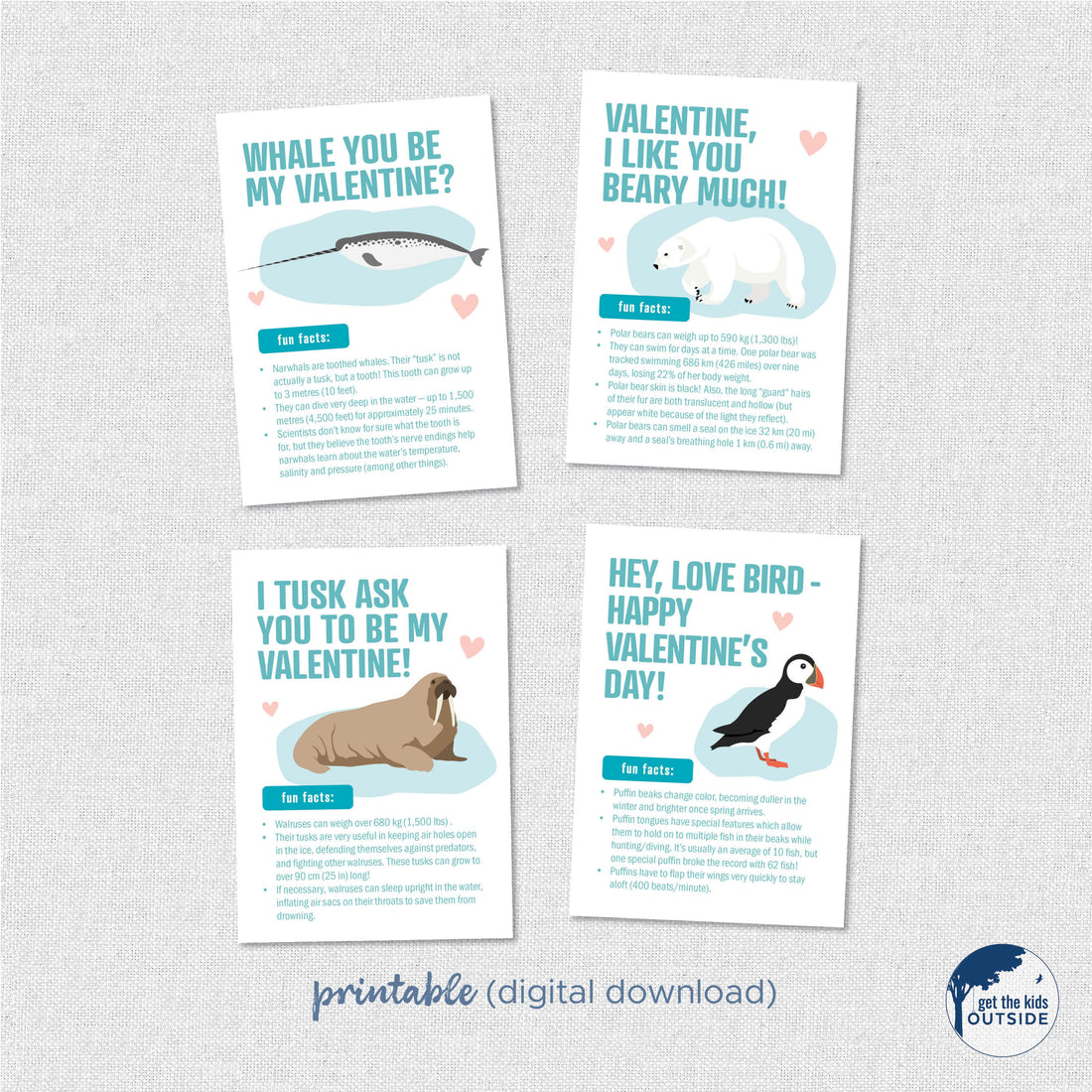 Valentines - Arctic Animal Fun Facts - printable – Get the Kids Outside