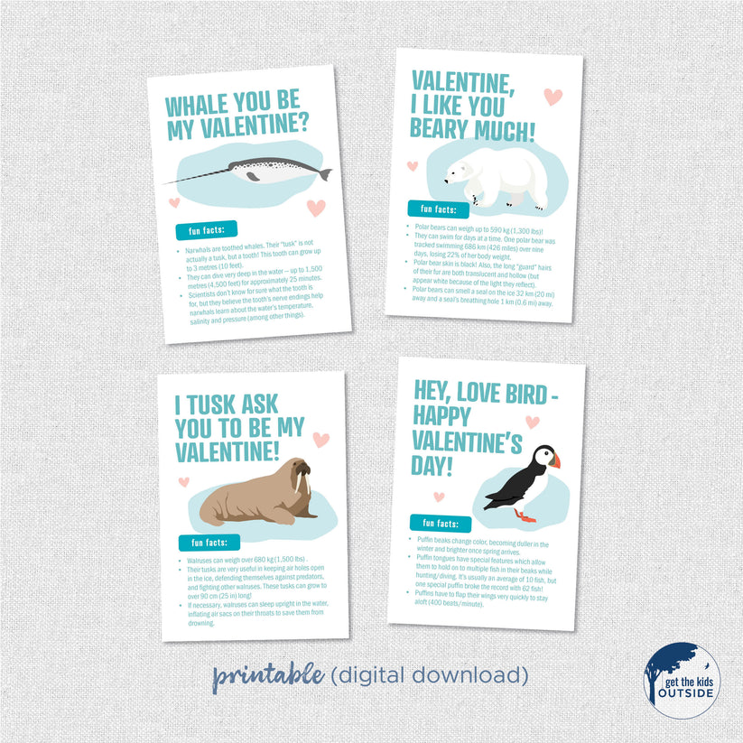 Valentines - Arctic Animal Fun Facts - printable – Get the Kids Outside