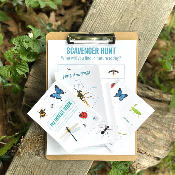 Insect Book – Get the Kids Outside