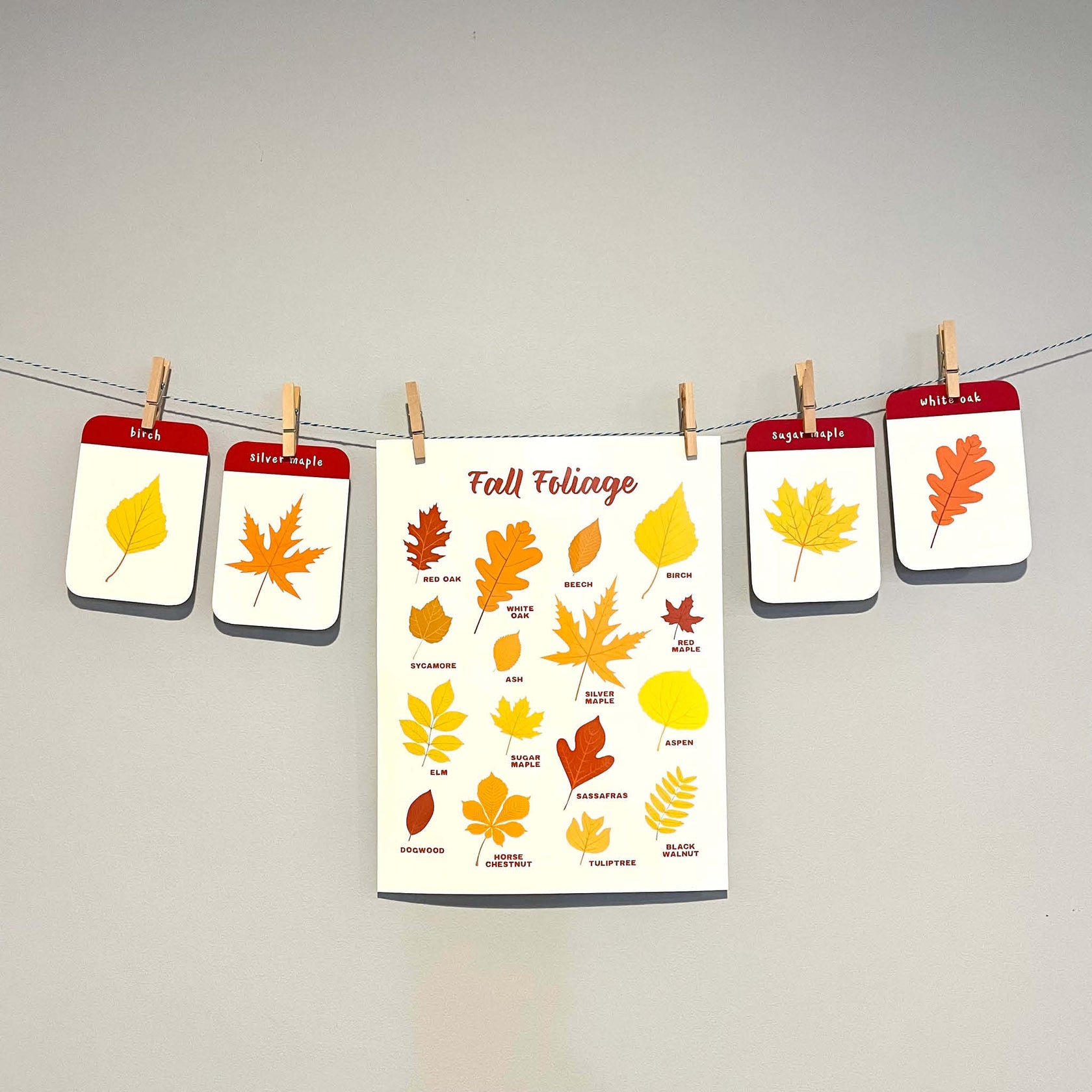 Autumn Leaf Identification Cards – Get the Kids Outside