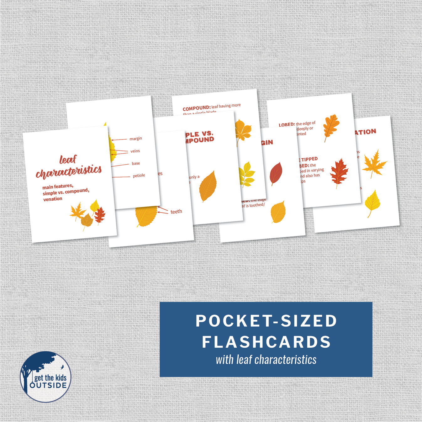 Autumn Leaf Identification Cards – Get the Kids Outside