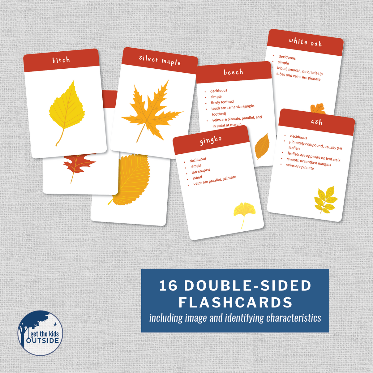 Autumn Leaf Identification Cards – Get the Kids Outside