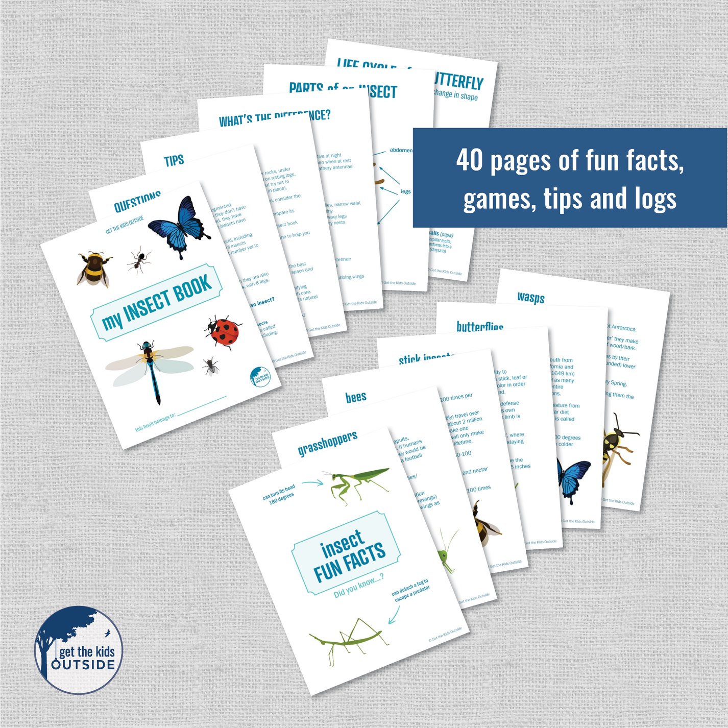 Insect Book – Get the Kids Outside