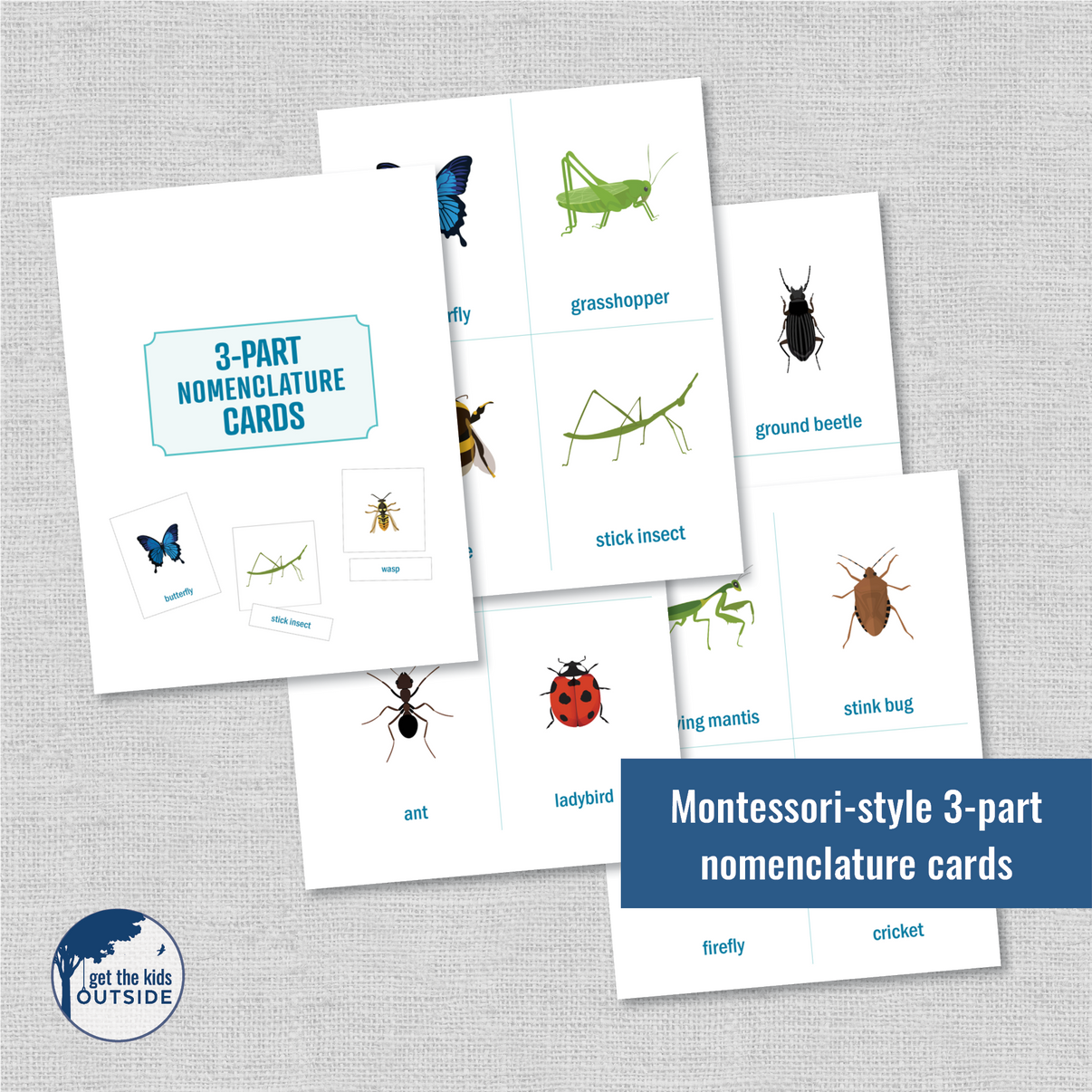 Insect Book – Get the Kids Outside