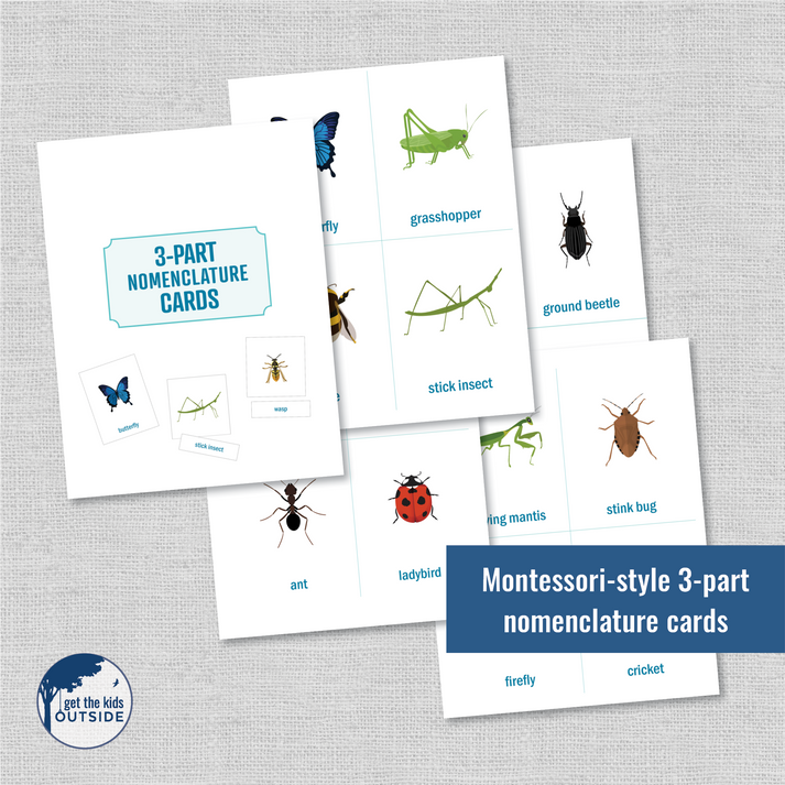 Insect Book – Get the Kids Outside